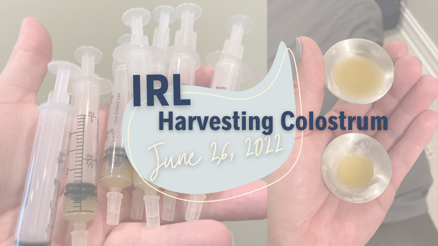Antenatal Colostrum Colletion IRL – bemybreastfriend, LLC
